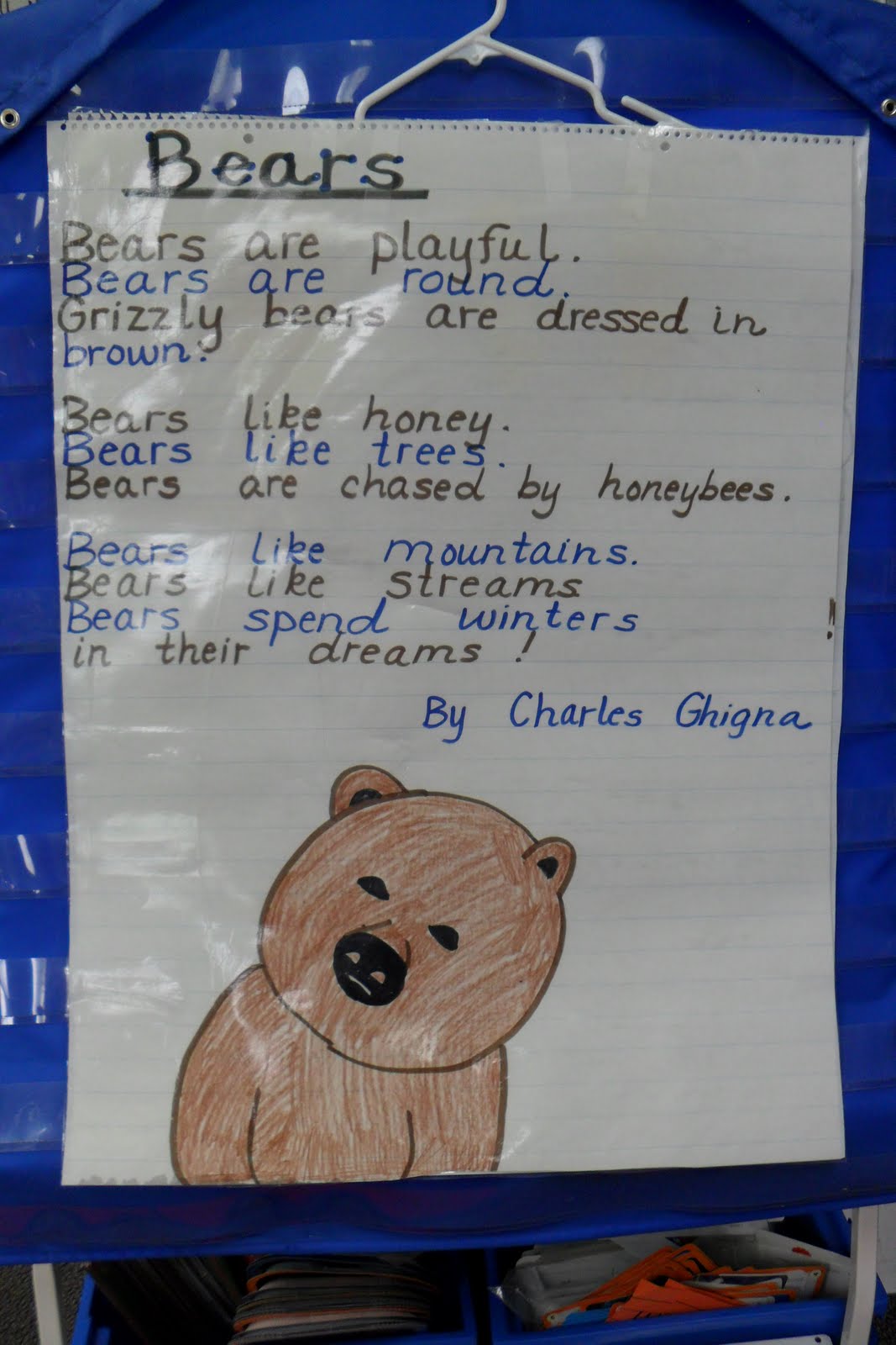 .: A Beary Good Week