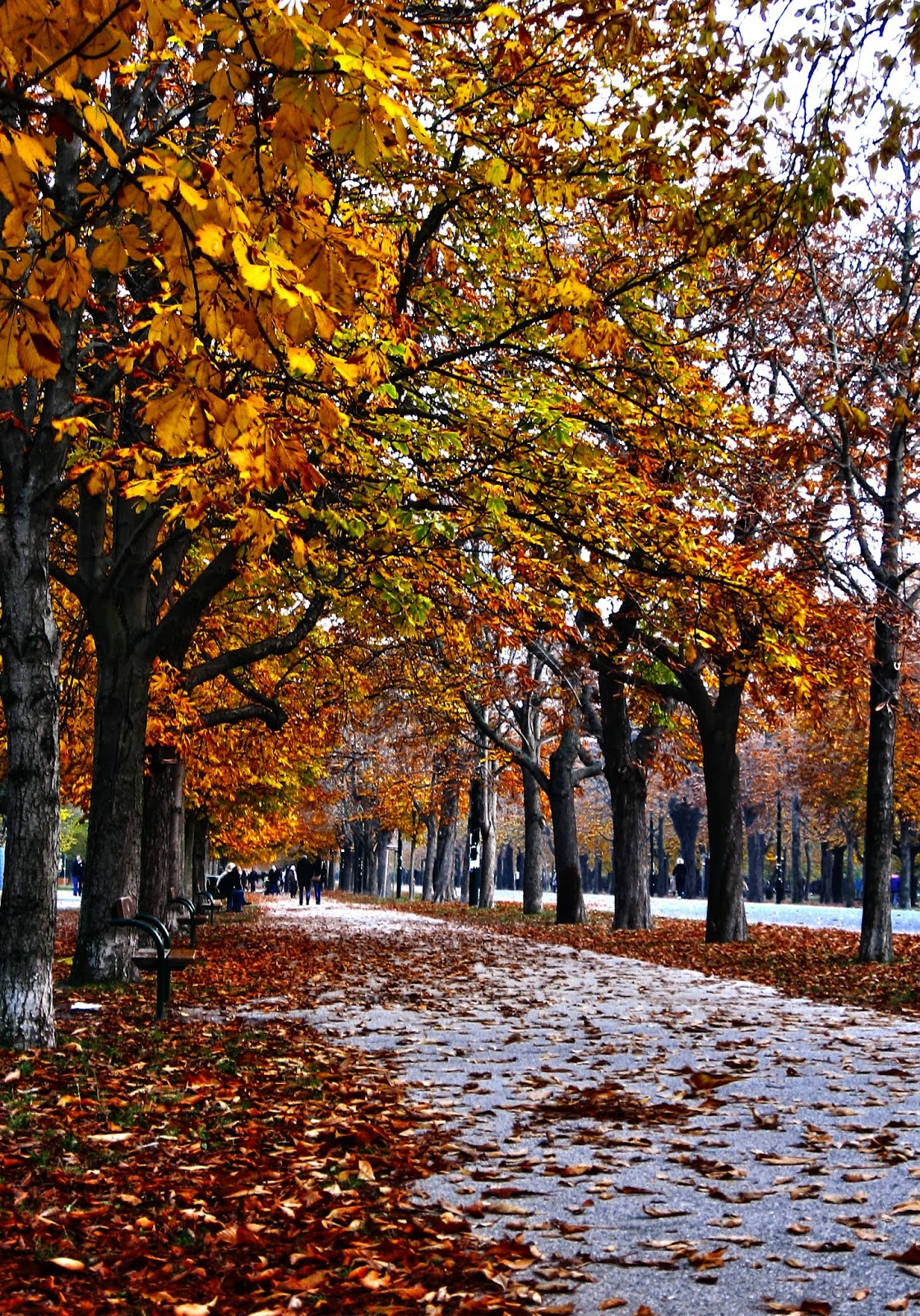 Autumn - Pics And Gifs