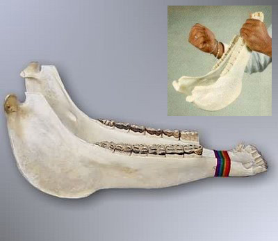 Sonidos Clandestinos: Instrumentos Clandestinos - La quijada