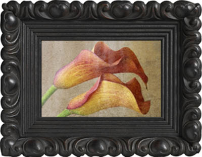 What's New at Castelli Art Framing