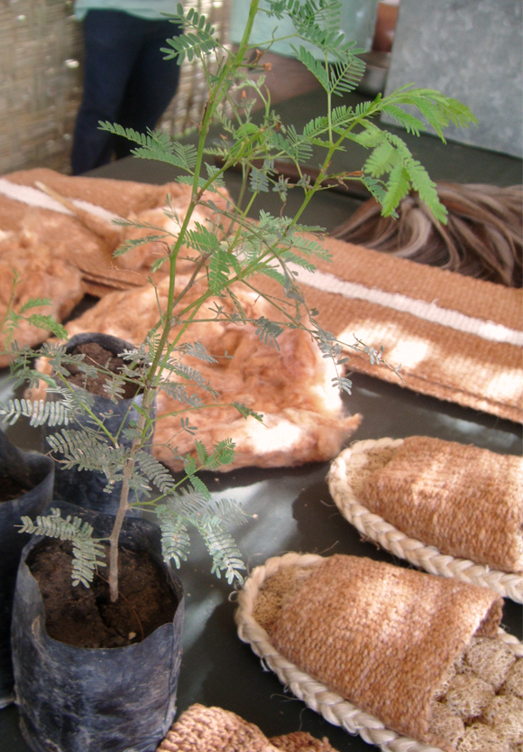 ICArte: "Saboreando el Huarango"