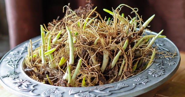 Appalachian Spring - Early Ramps | Foodie in WV