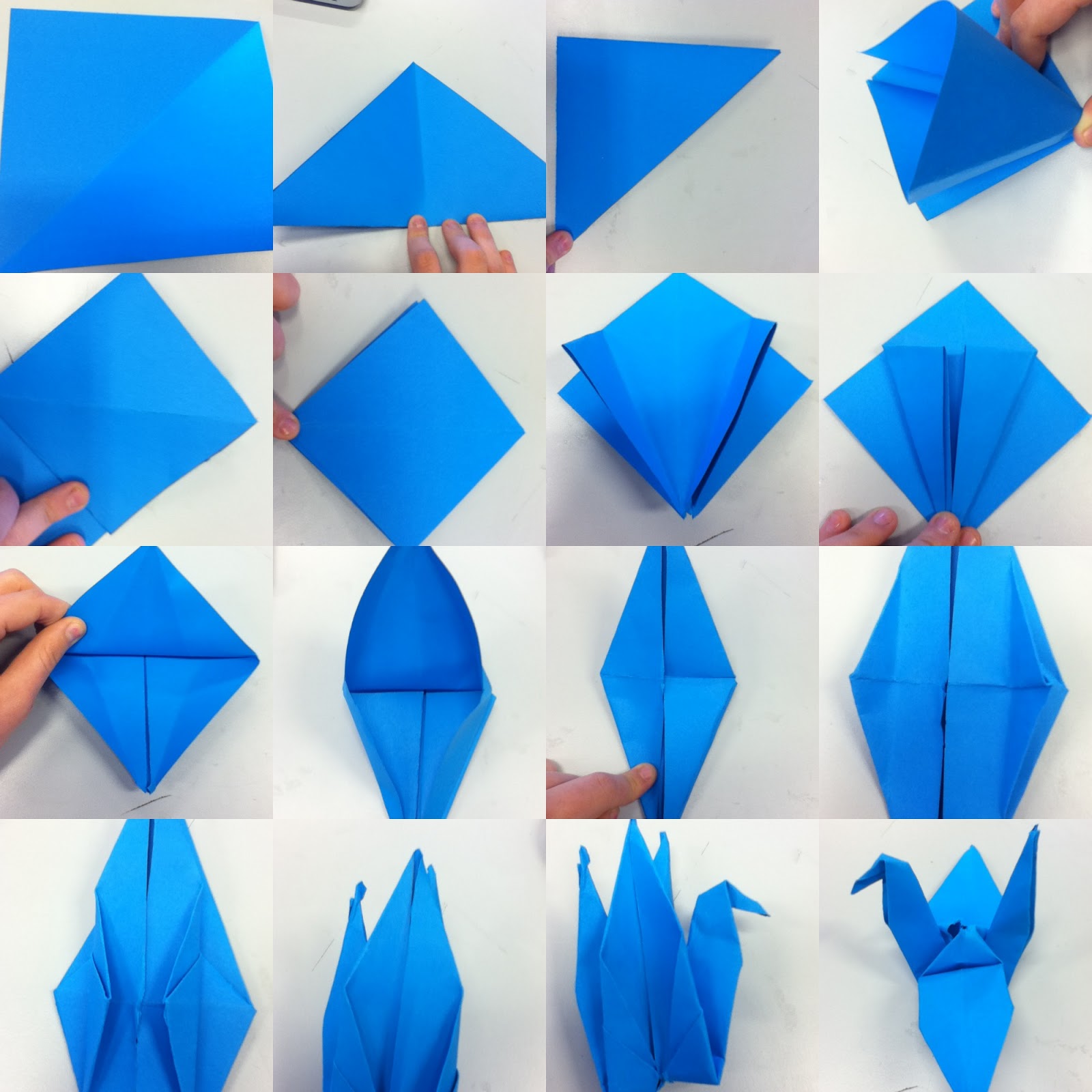 Lupenelli: Hvordan brette traner