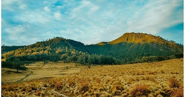 Sabana Di Gunung Lawu - Paket WisataGunung Lawu
