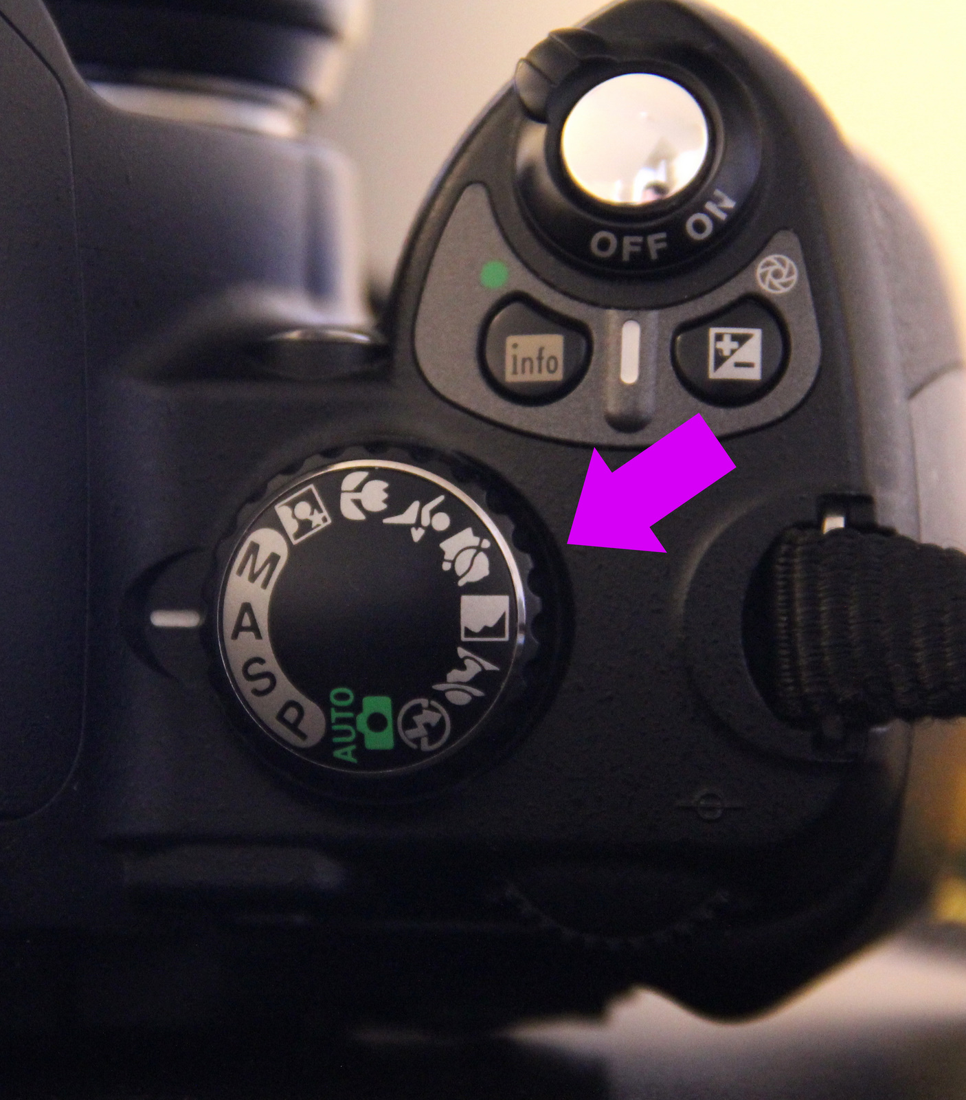 Nikon Newbie: ISO Basics For The Newbie Photographer