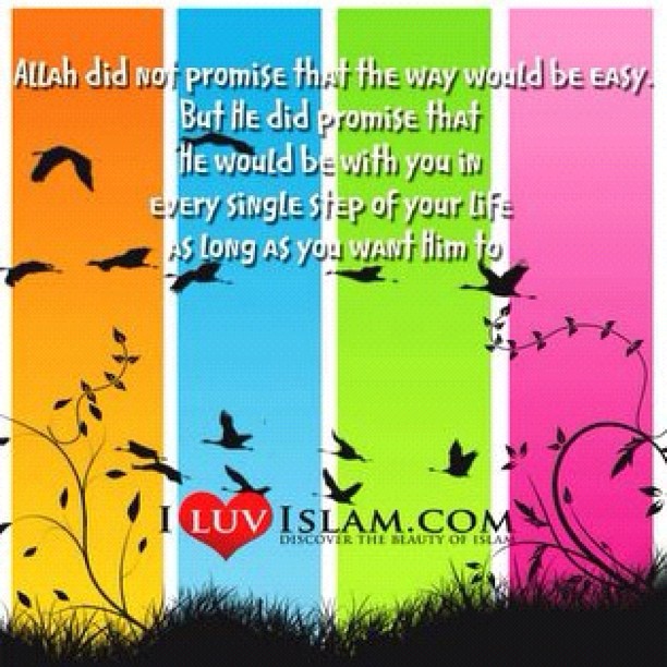 Six Pillars Of Iman (Faith) Part 2 ~ MyAzizy's