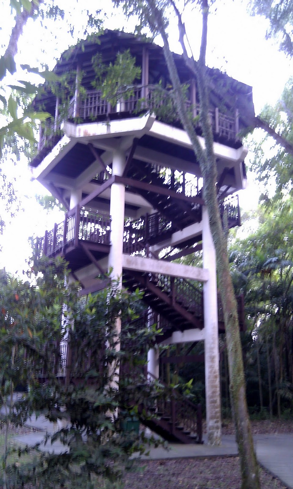 Everything Jonathan: Pasir Ris Parks