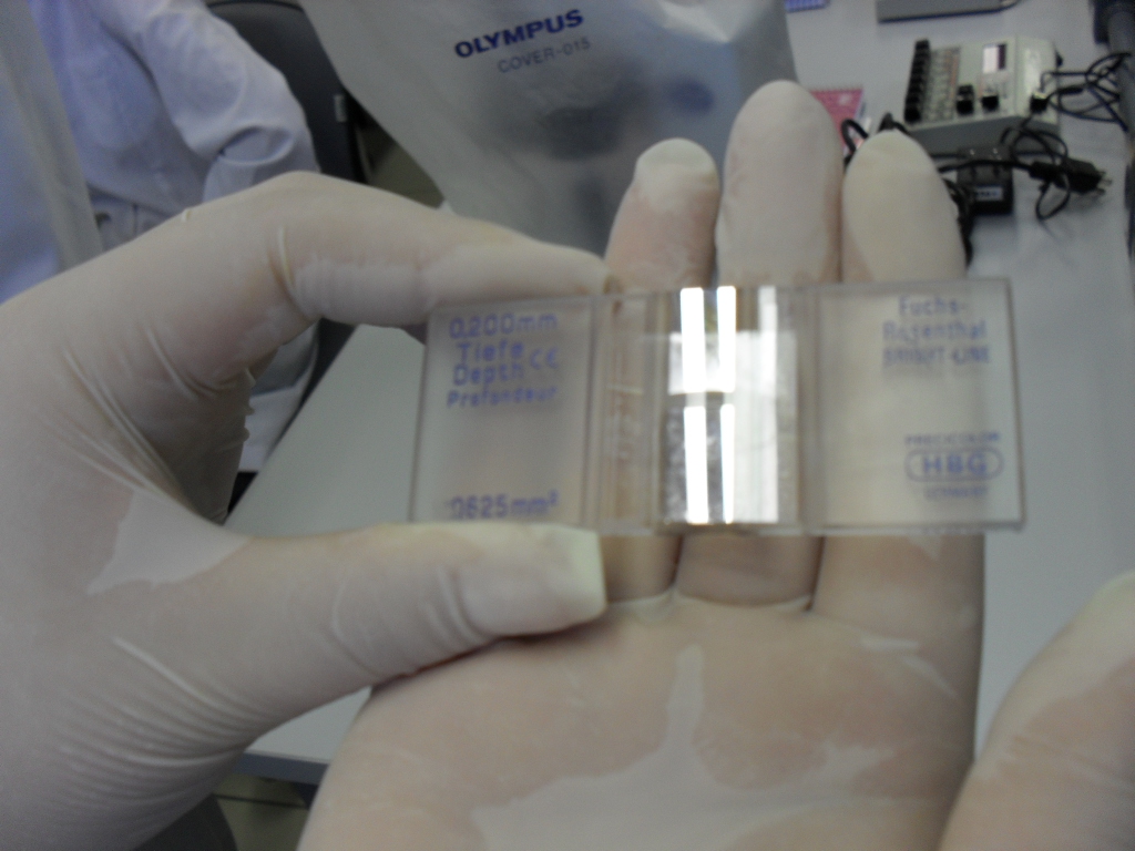 Citologia Clínica - 2011: LCR - Câmaras