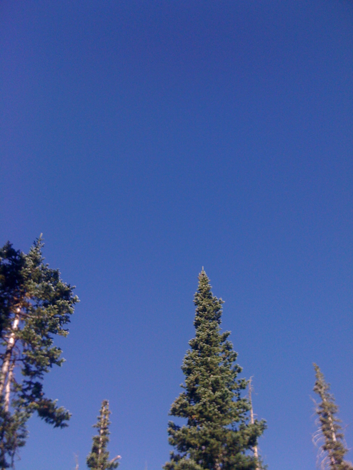 MDK10 Outside: Pictures of Textures