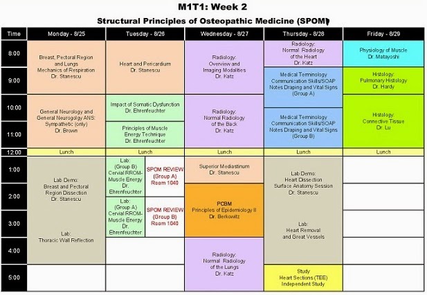 Aspiring Minority Doctor: A Typical Day as a Single Parent in Medical ...