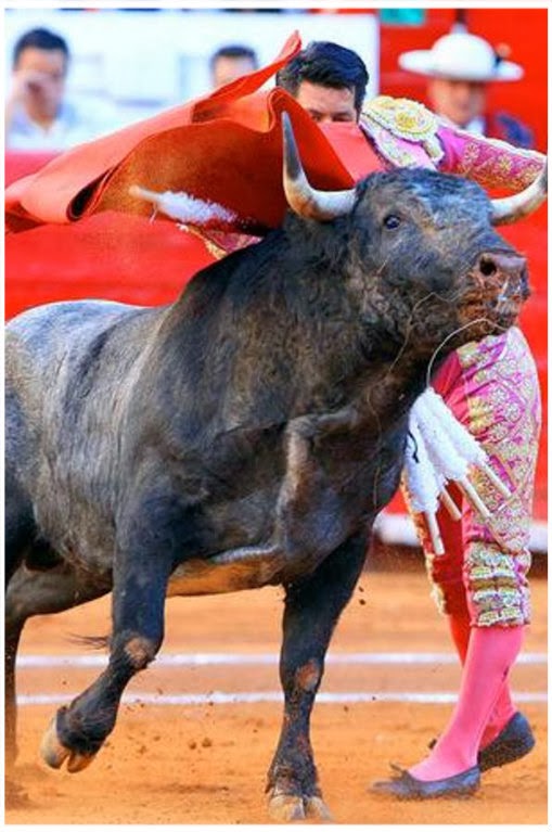 Vamos A Los Toros : México - D.F. / Monumental Plaza México : 8Va ...