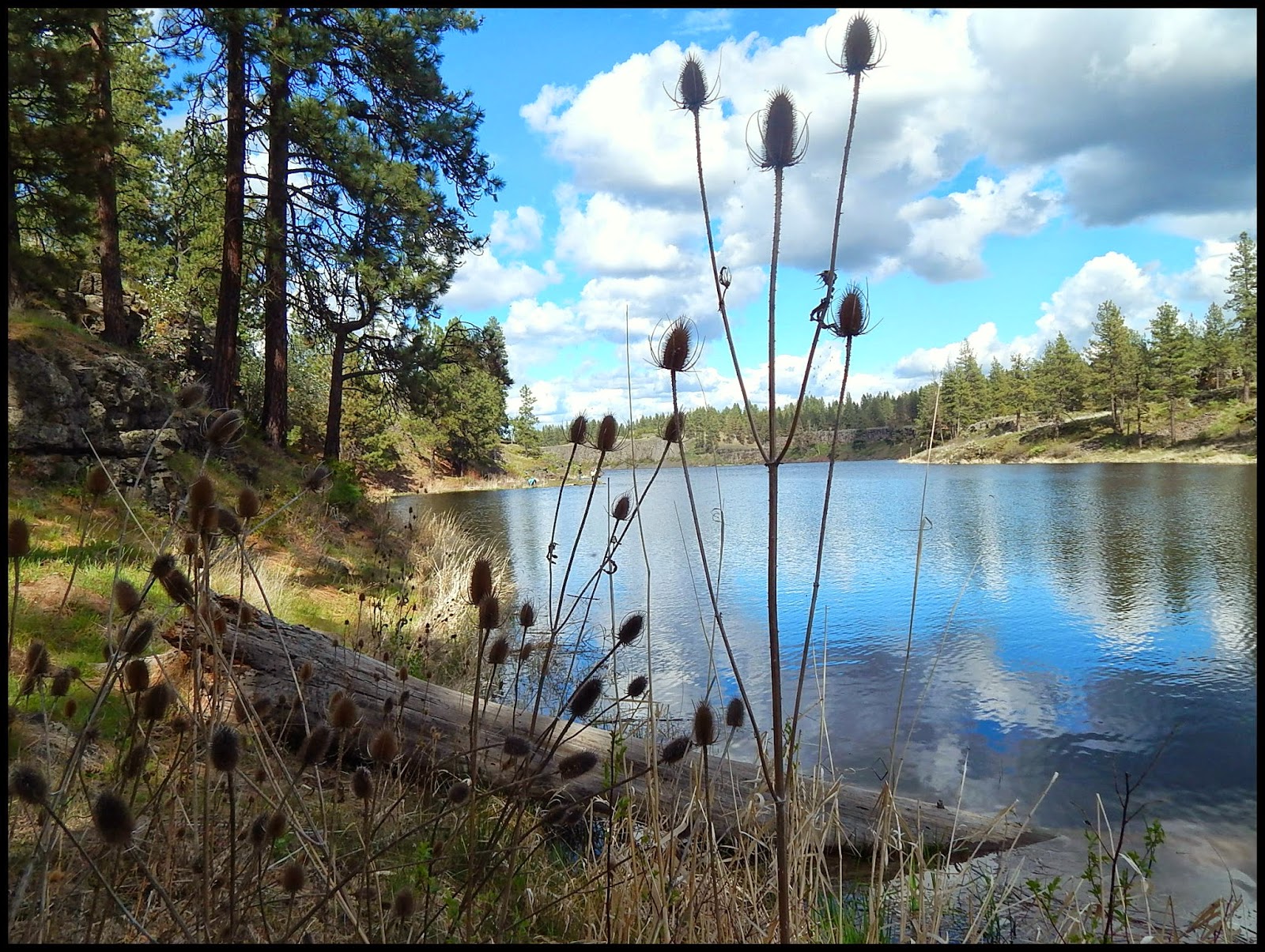 The Back Porch View: Hog Lake in the FIsh Trap BLM, WA