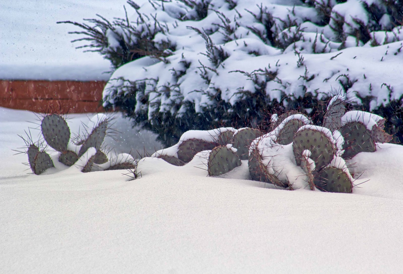 Tom Winfield Photography: January 2019