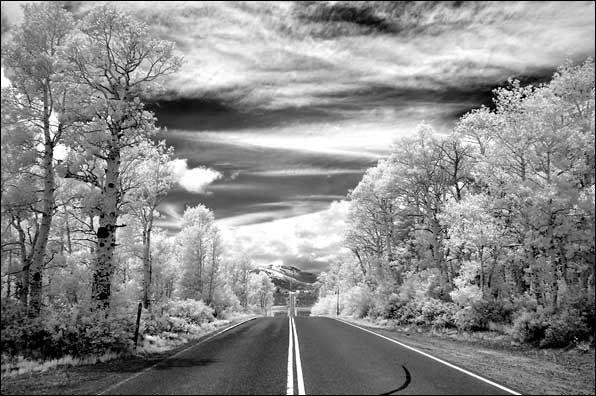 Grayscale | shine On