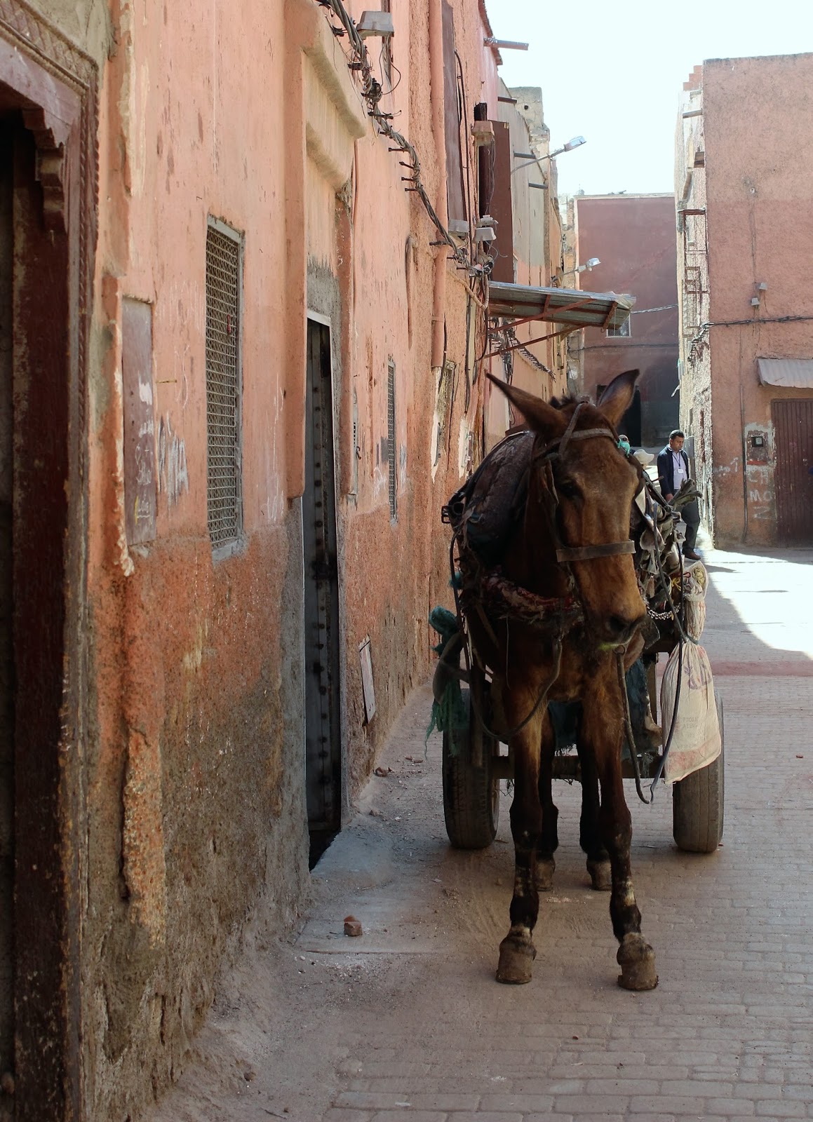 Souvenir Chronicles: THE MARRAKESH EXPRESS