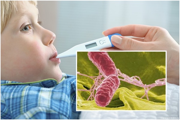 Tanda Dan Gejala Penyakit Tipes Yang Perlu Di Waspadai - Rumah Jerawat