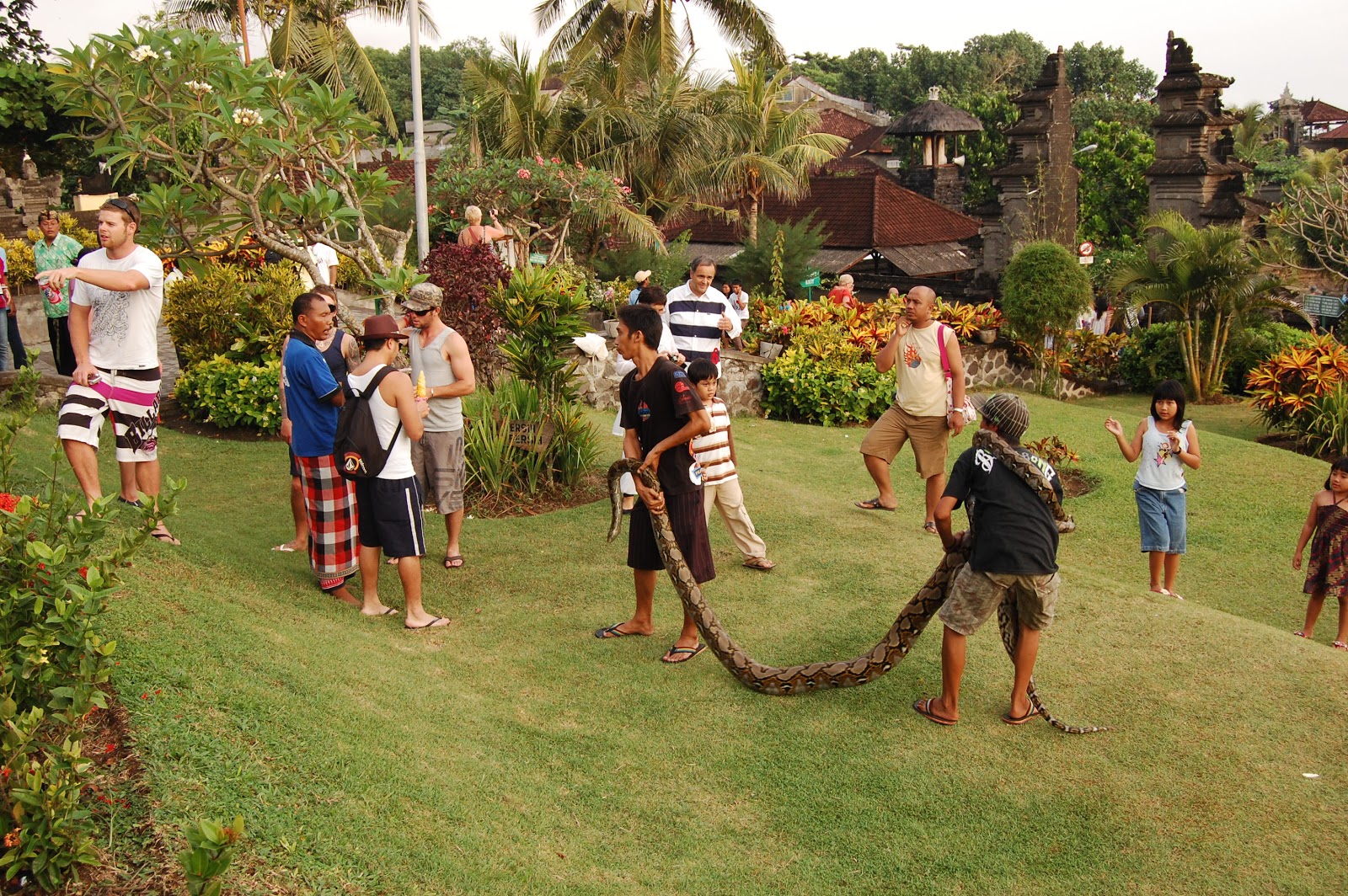 Travel Pangs: Beautiful Bali: Snakes in Tanah Lot
