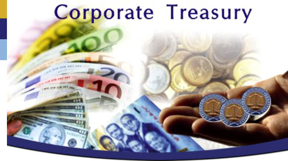 Финанси и трежъри: Въведение в корпоративния трежъри мениджмънт ...