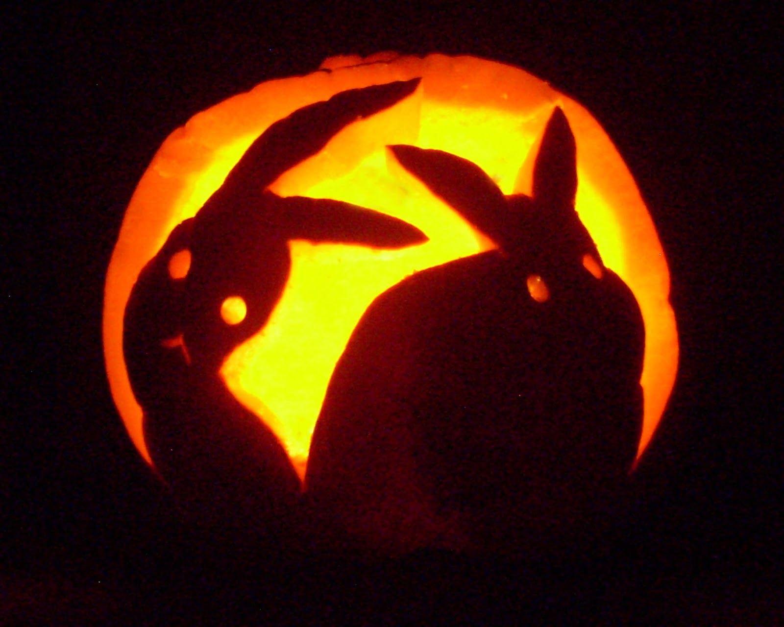 Maggie Wuts: Bunny pumpkin