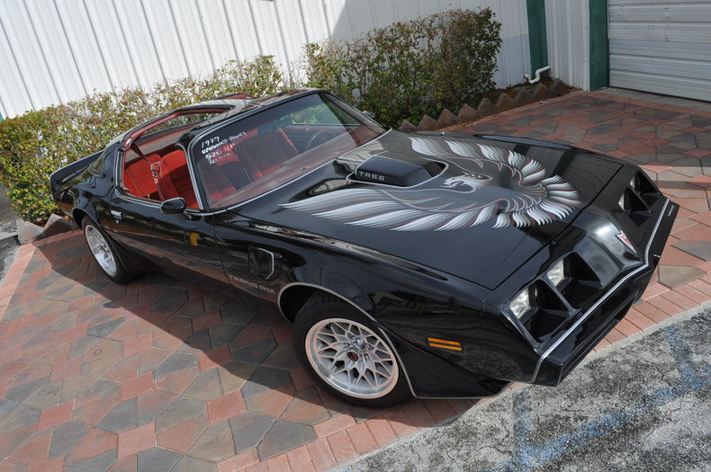 Experience the Iconic American Muscle Car: Trams Am 1979 - History ...