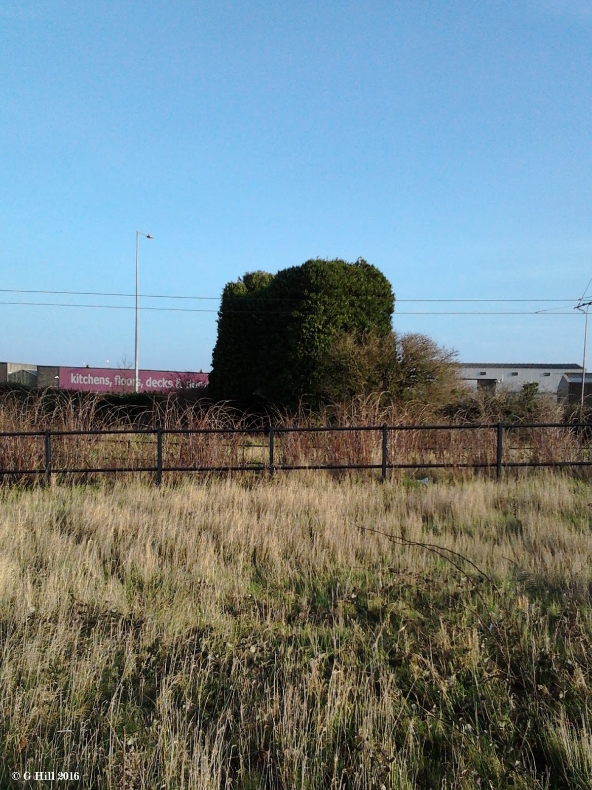 Ireland In Ruins: Ballymount Castle Co Dublin