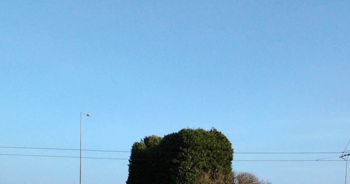Ireland In Ruins: Ballymount Castle Co Dublin