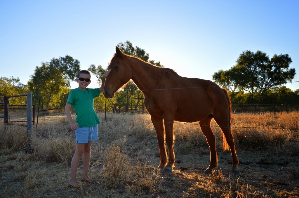 Mercer Travels: Darwin to Cairns.