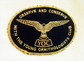 Valley Naturalist: Forgotten logos