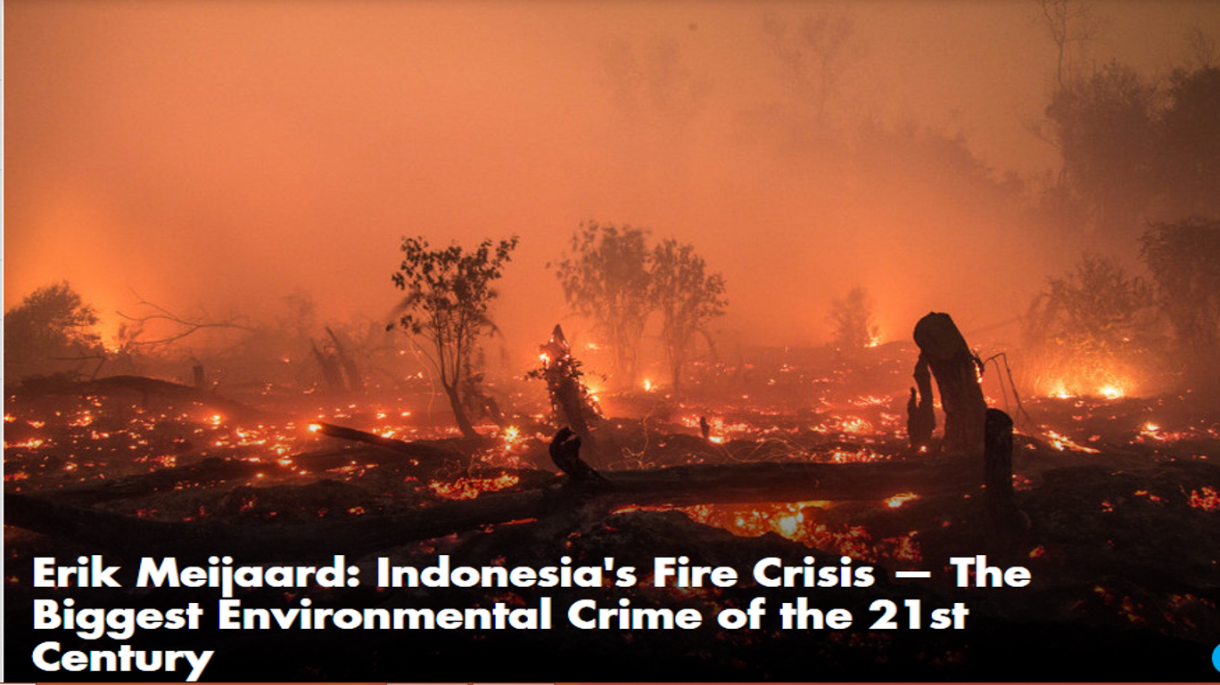 Dr Mat: Checking the list of the worst man-made environmental disasters ...