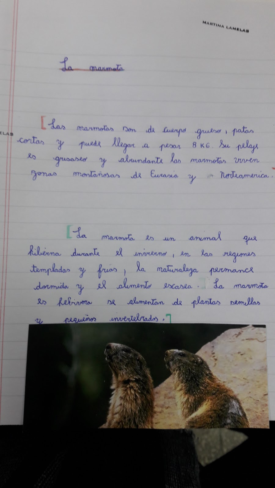 Animales que migran o hibernan