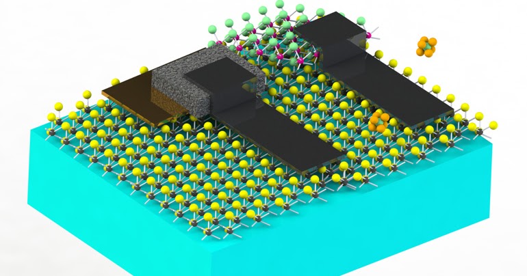 The Silicon Graybeard: Tiny, Injectable, Floating Robots for Monitoring