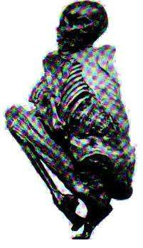 The Freaky And The Strange: The Fawn Hoof Mummy - Egyptian Influence In ...