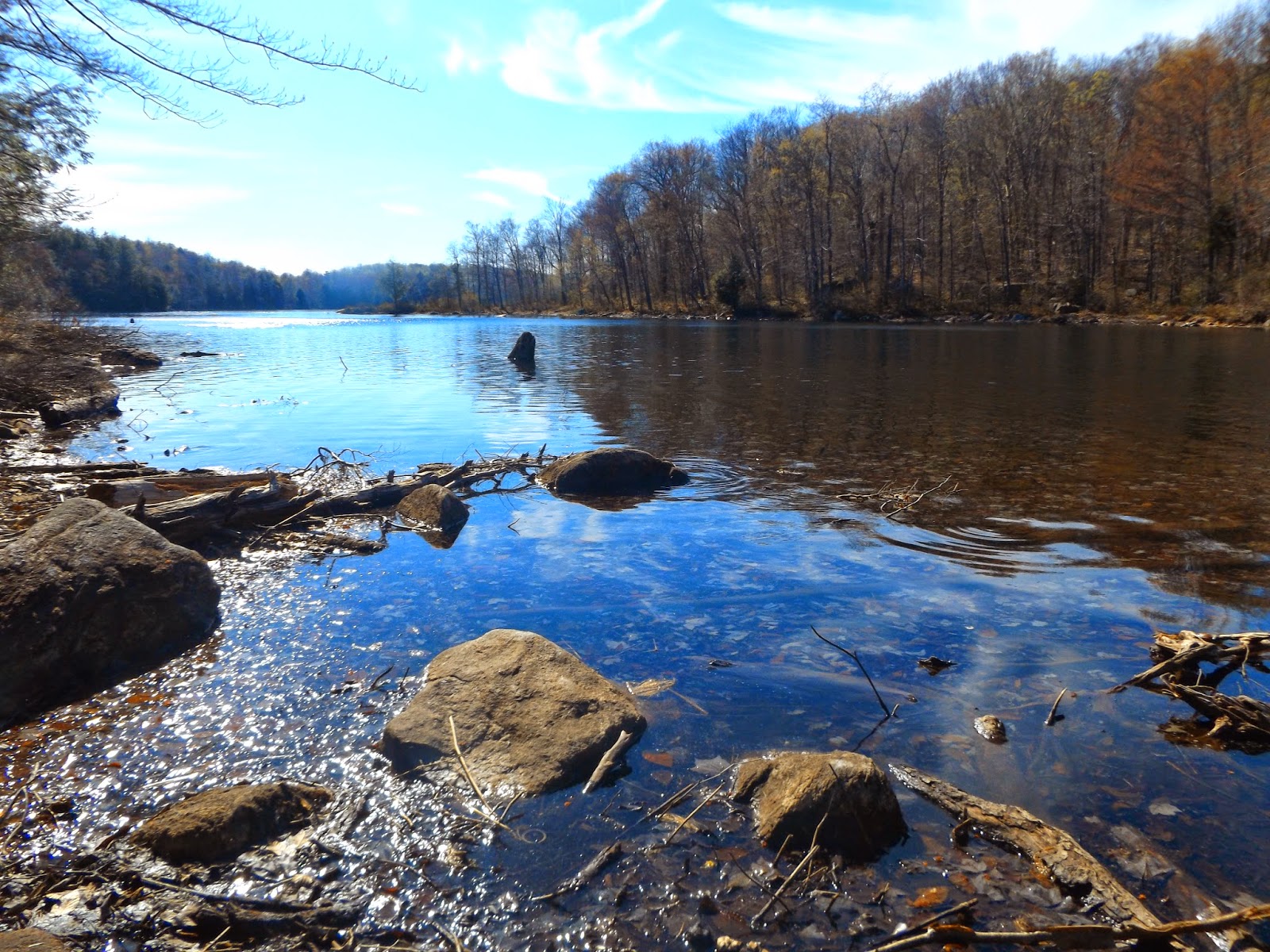 Walking Man 24 7: Nine Corner Lake/ Jockeybush Lake(Adirondacks)