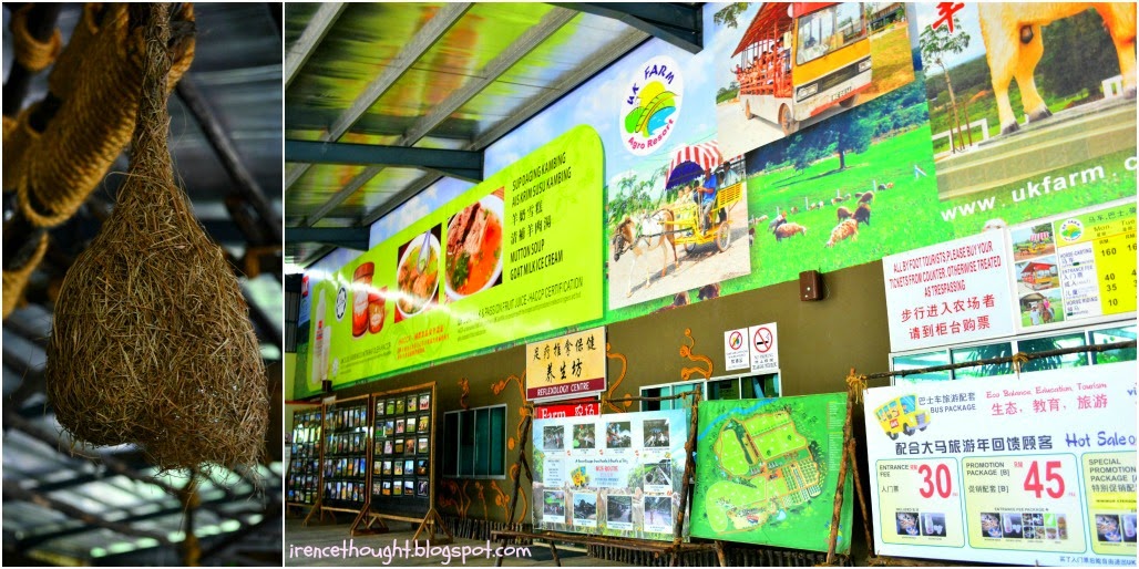 irence ღ thought : [马来西亚：居銮] Kluang UK Farm 休闲农场 Part 1