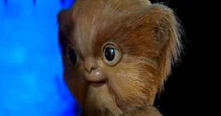 'Wako Wako' is Now the Newest Cute Friend of Many Filipinos! ~ TV ...