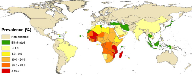 Infection Landscapes: Schistosomiasis