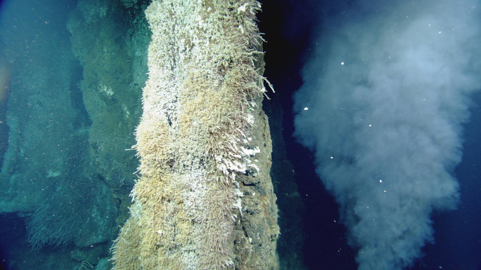 Ship2Shore: Holy Smoke! Black Smoke!!