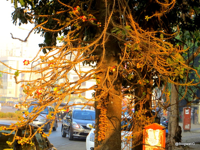 Secret of the NAGAMANI | BlogwatiG