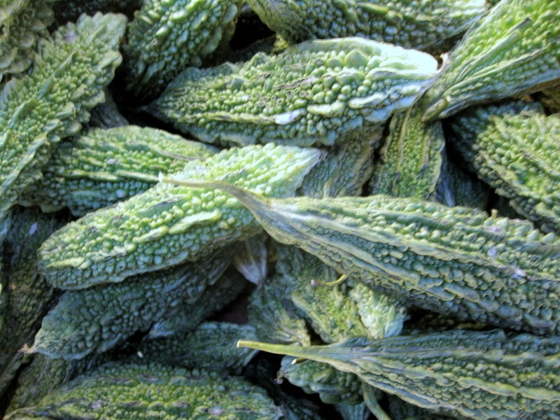 拈花惹草集: 苦瓜 (Bitter Melon)