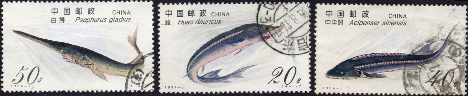 Stamp Right There: Fishes on Stamps Part 1