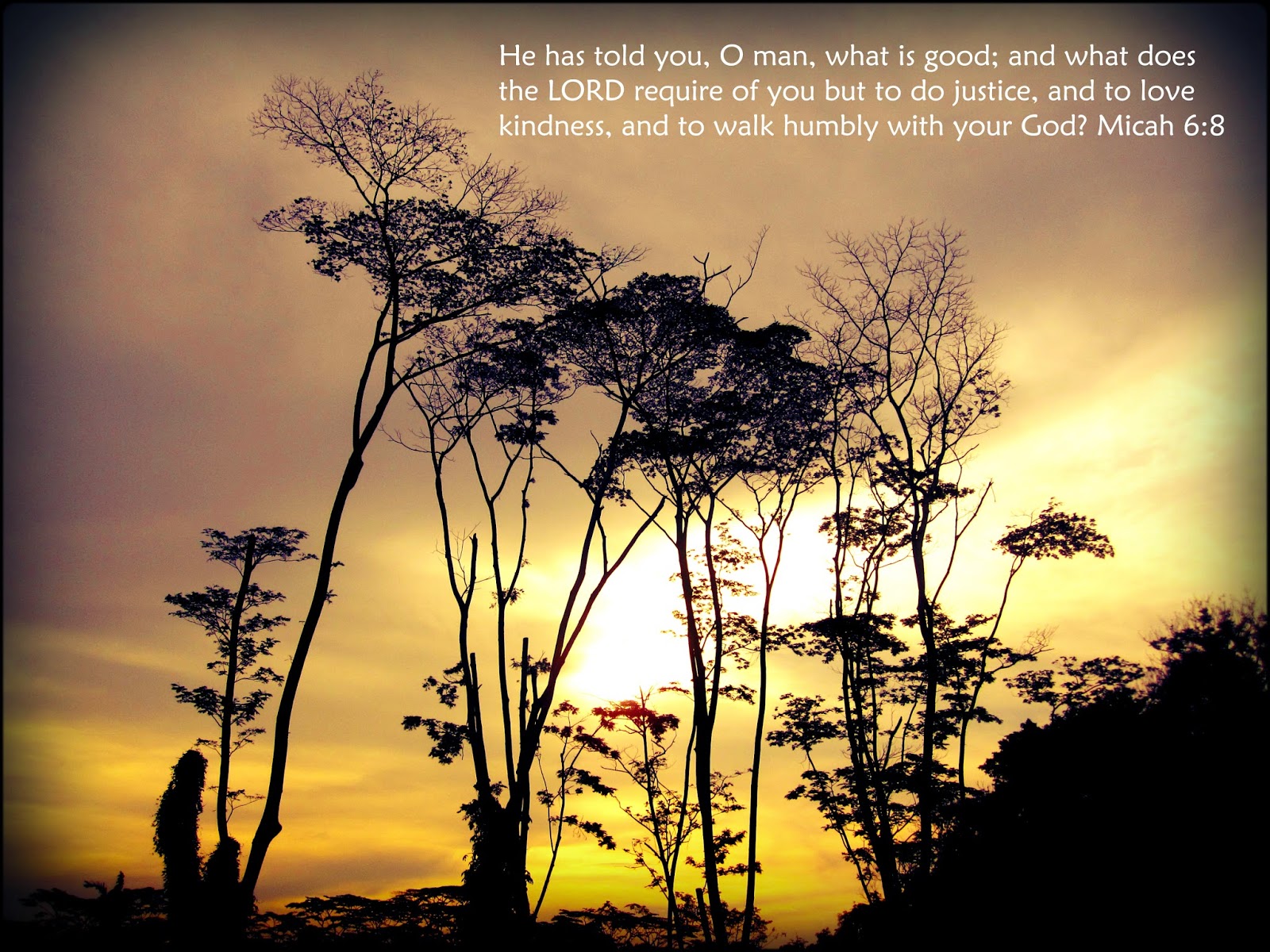 Bible Verse Wallpaper Creations