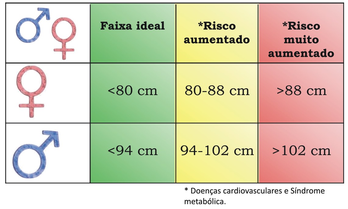 Tabela De Circunferência Abdominal - BRAINCP