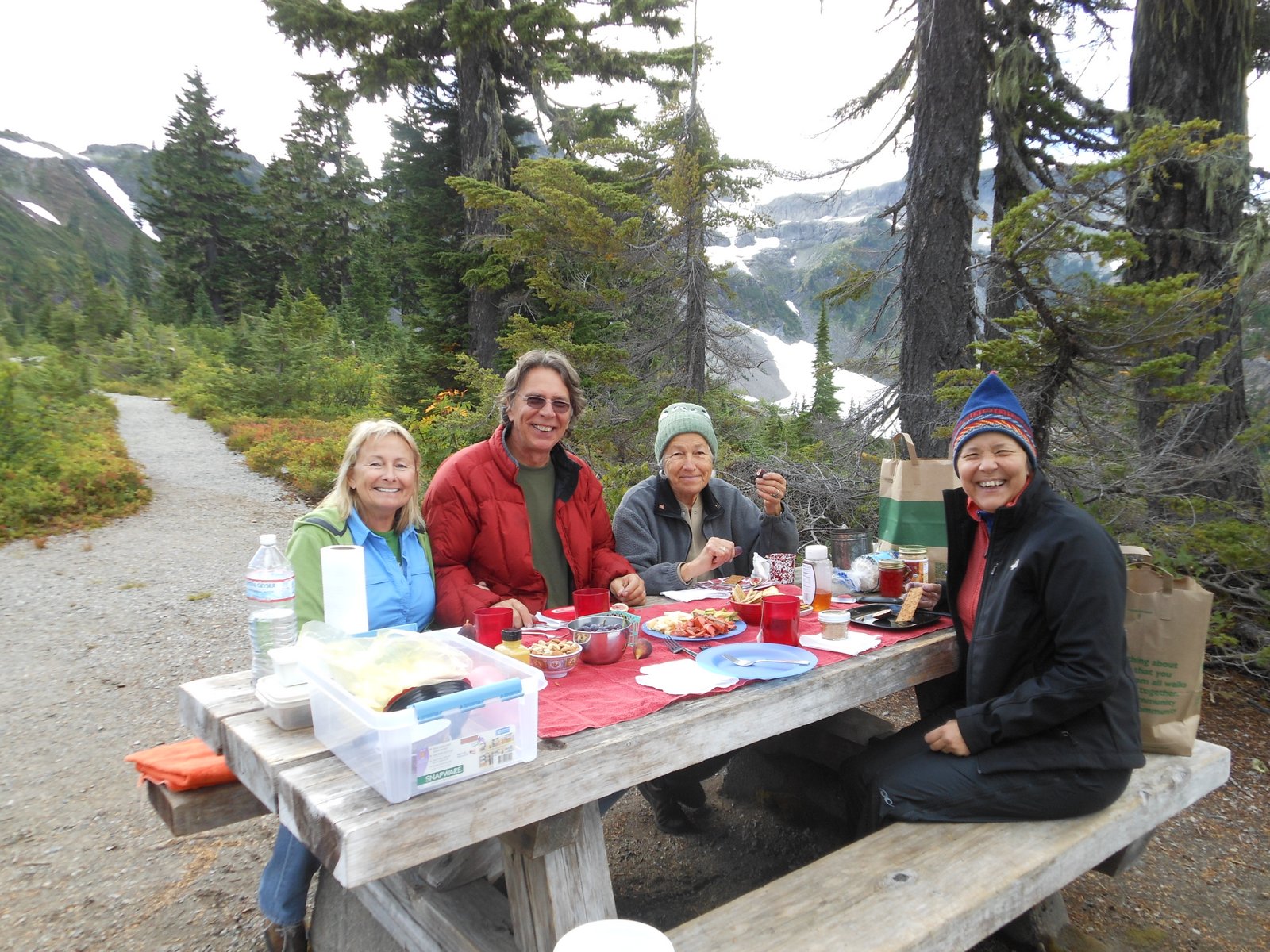 domiciliate: Mt Baker Berry Picking