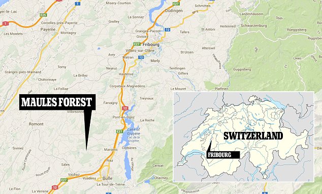 Twilight Language: Le Loyon: Ghostly Figure Photographed in Swiss Woods