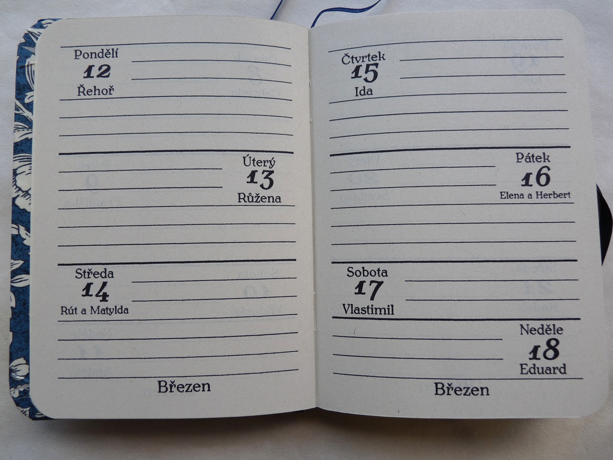 Diary Page Design