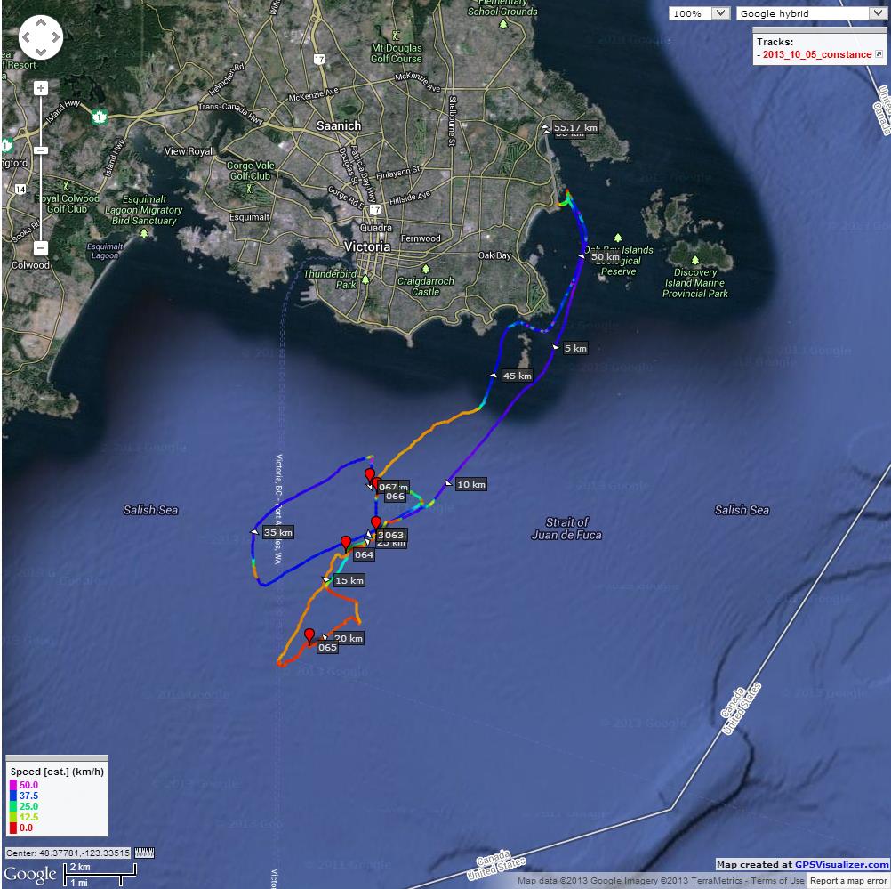 The Adventures of Natural C-lection: October 5th - Constance Bank (#24)