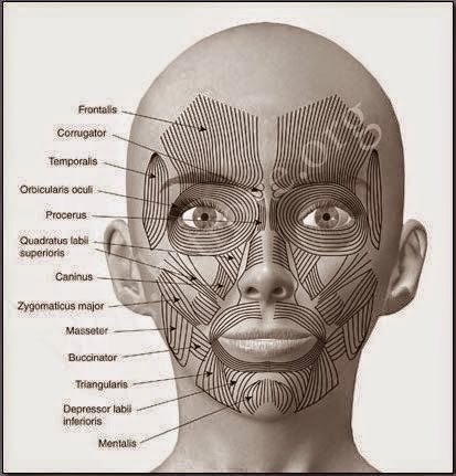 ISUSEMASA.ORG: MENARIK !!!Langkah Mudah Bagaimana Proses Terjadinya ...