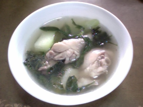 carbonaramara: talinum leaves