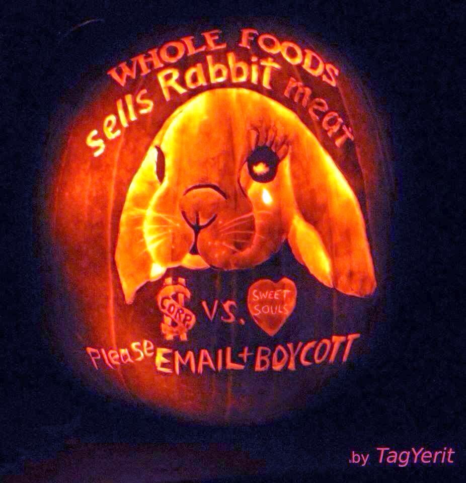 Rabbit Ramblings: Bun o' lanterns -- Bunny pumpkins for Halloween