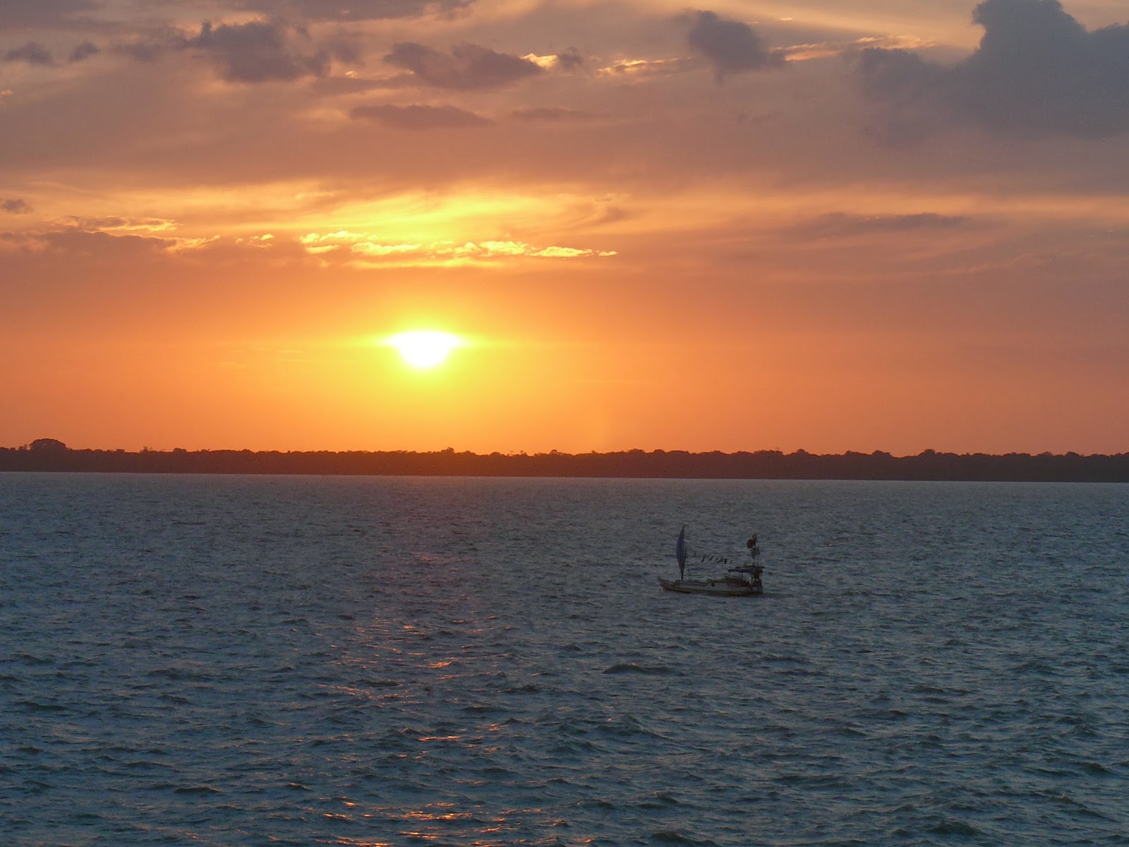 PASION POR VIAJAR: Amazonia 3 – DE SURINAM AL DELTA DEL AMAZONAS